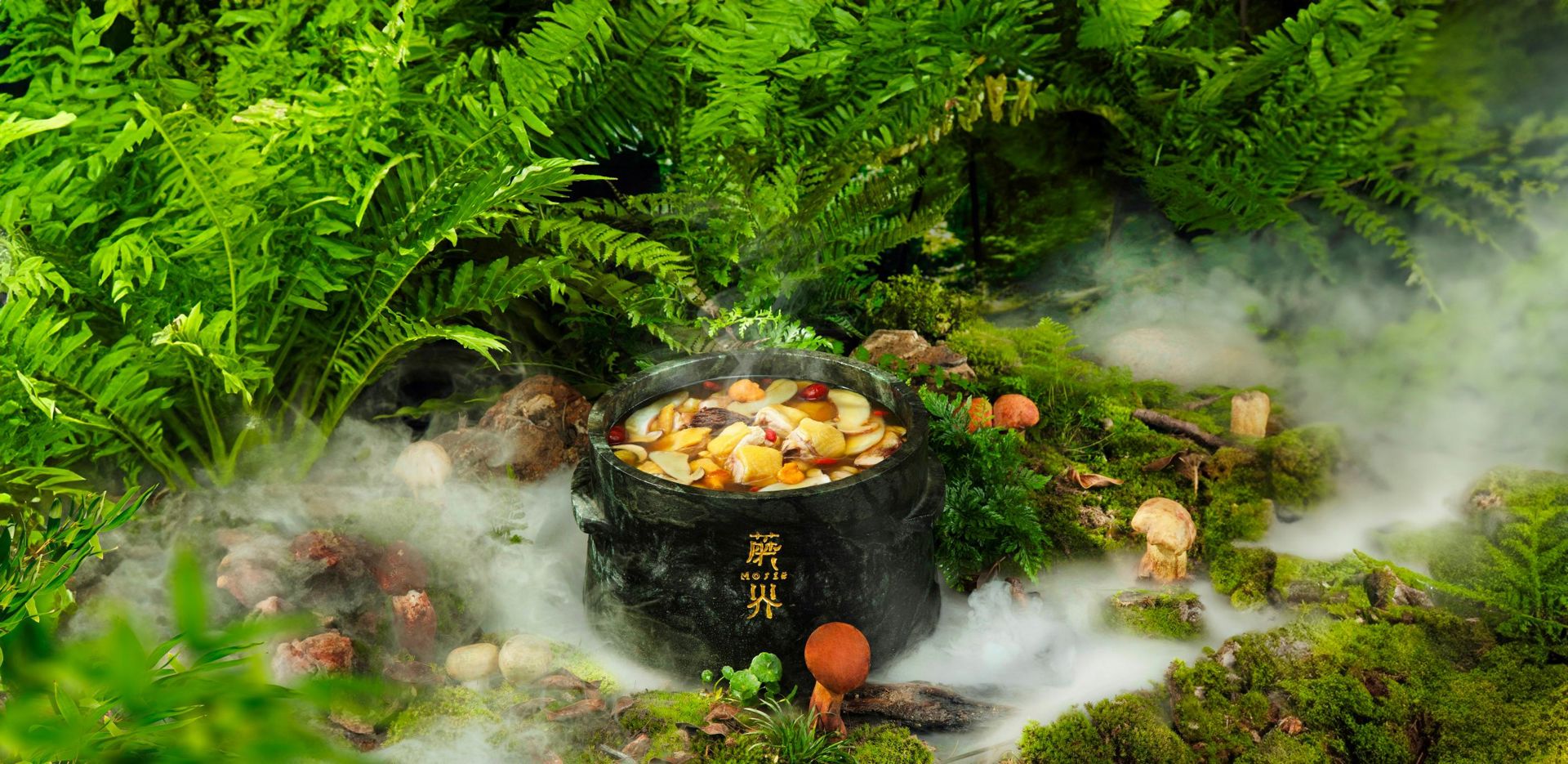 Mainland wild mushrooms and free range chicken stone pot brand opens ...